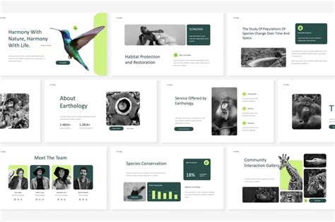 Ecology Presentation Template Keynote Incl Presentation And Business
