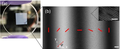 Figure 1 From Optical Edge Detection Based On High Efficiency Dielectric Metasurface Semantic