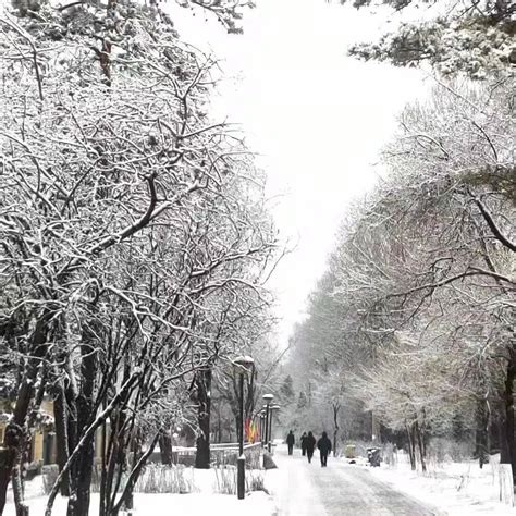 14 16日，鸡西将出现较大降雪天气，局地暴雪！请注意预防过程供电影响