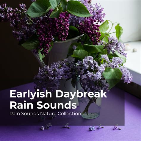 Lush Nature Rainfall Rain Sounds Nature Collection、asmr Rain Sounds