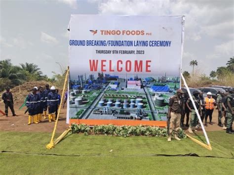 Nigerian ‘billionaire Founder Of Tingo Group Dozy Mmobuosi Accused