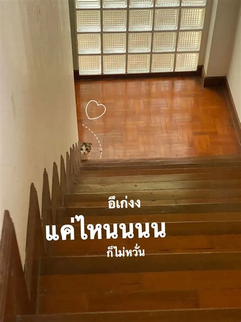 เครื่องกำจัดกลิ่นอุจี้แมว แกลเลอรีที่โพสต์โดย Tiptiptip Lemon8