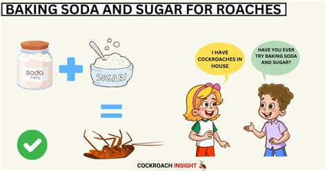 Does Borax Kill Roaches Does It Work