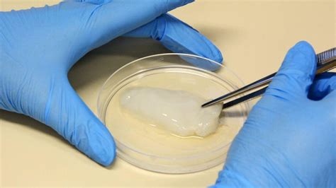 Vivian Feddern The Alternative Protein Ecosystem Gfi