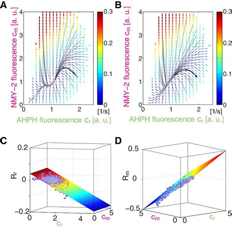 Figures And Data In Controlling Contractile Instabilities In The