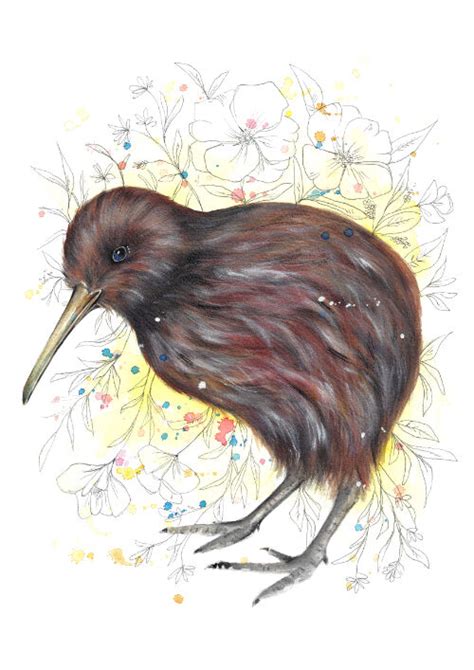 Sketchy Kiwi Bird Birds Nz