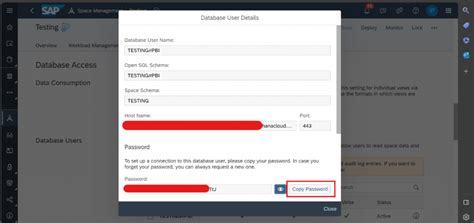 Consuming Data From Sap Datasphere Into Power Bi Via Odbc Connector