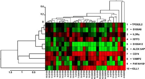 The Hierarchical Bi Clustering Of Genes And Survivals Over 28 Days Download Scientific Diagram