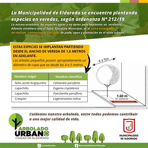 El Departamento De Arbolado Urbano Recuerda Las Especies De Arboles