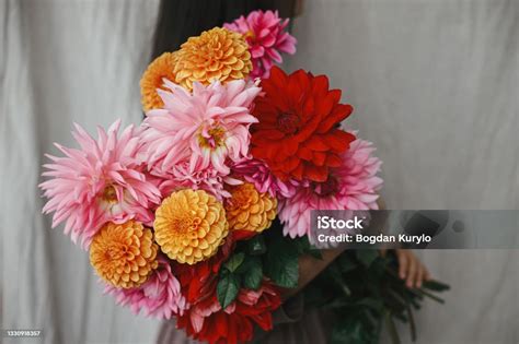 아름다운 화려한 달리아스 꽃 에 여자 손 닫아 소박한 방 아름다운 가을 꽃다발 뒤에 숨어 있는 린넨 드레스를 입은 플로리스트