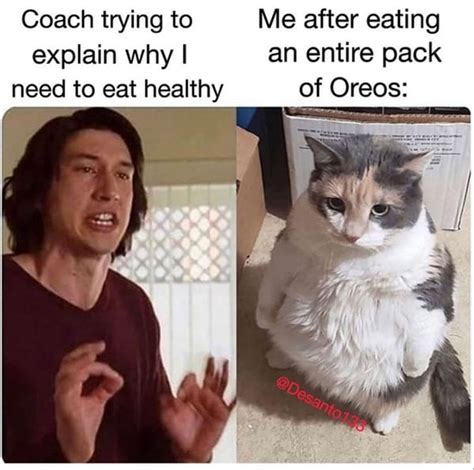 30 Hilariously Funny Oreo Memes That Are Double Stuffed With Humor