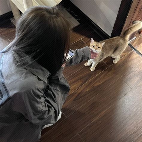 二传注明摇滚羊 堆糖美图壁纸兴趣社区