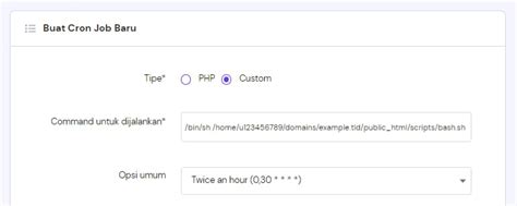 Bagaimana Cara Setup Cron Job Berkarakter Khusus Di Hostinger