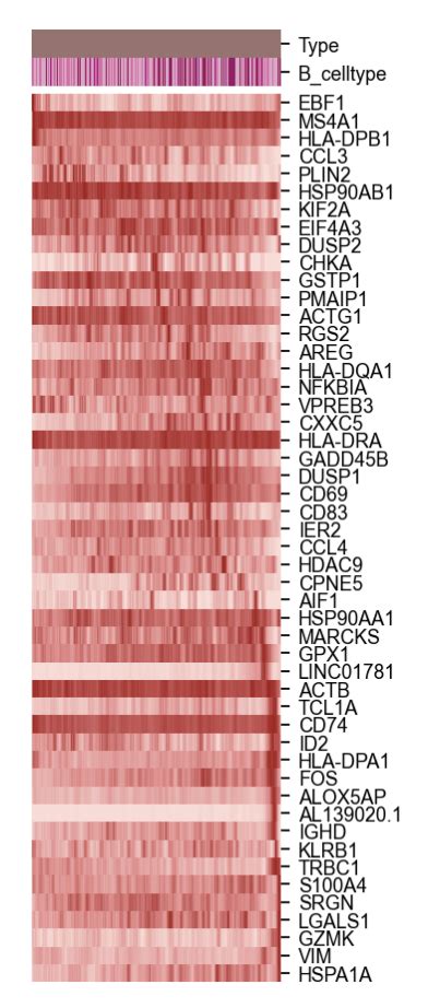 Bioinformatic Tutorial Daxing Research