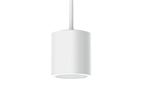 Cw0606 6 Round Direct Wildlife Friendly Ceiling Mount By Spectrum