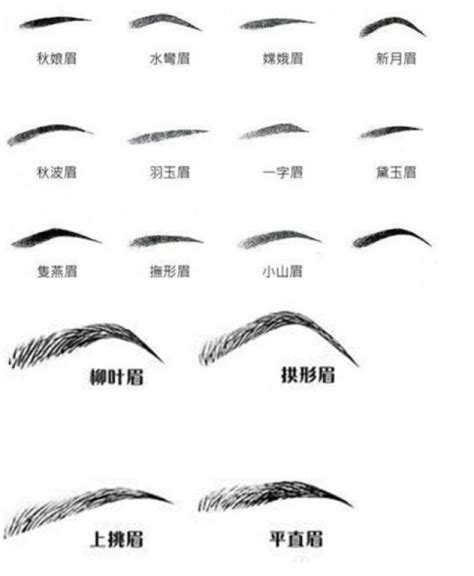 眉形大全图解 眉型大全 眉型图片大全 第4页 大山谷图库