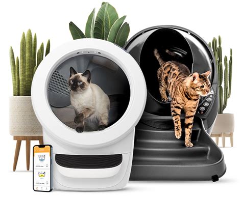 The 13 Best Cat Litter Boxes Of 2023 Tested And Reviewed