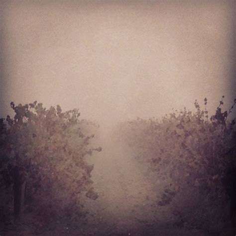 The Agonic Line The Agonic Line