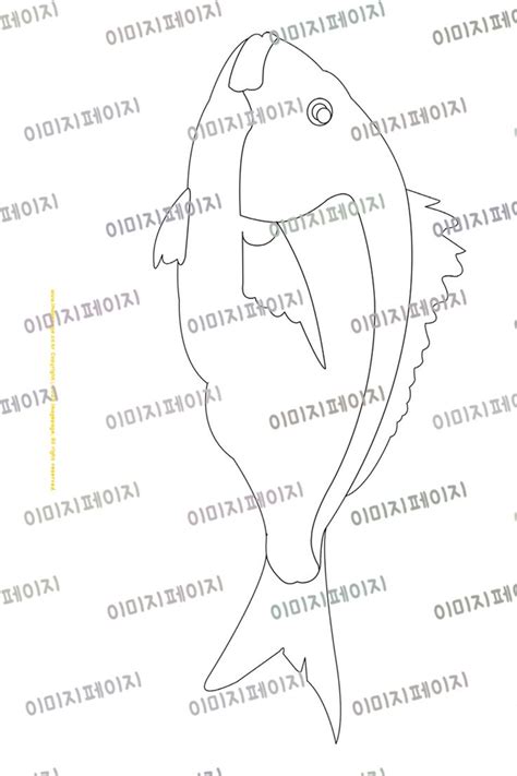 이미지페이지 어린이집 유치원 집콕놀이 엄마표놀이 누리과정 여름 여름환경판 여름활동지 여름프로젝트 바다 거북이 상어 산호초