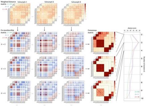 Automated Calibration Of Consensus Weighted Distance Based Clustering Approaches Using Sharp