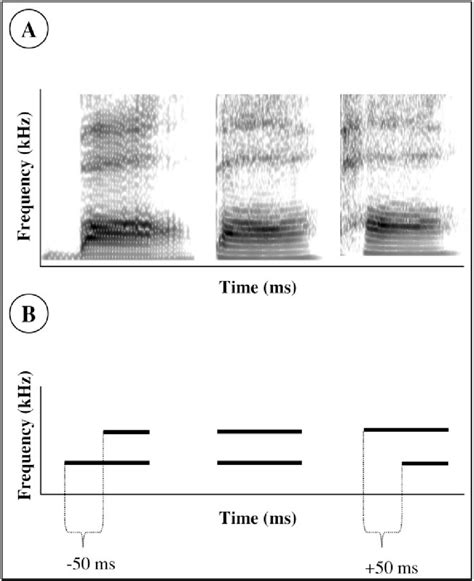 Spectrograms Of A Natural Stop Vowel Syllables With A Voicing Lead