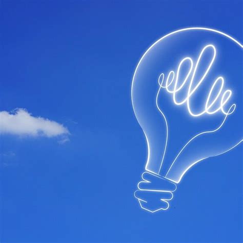 Samiec żaby Charakterystyka Nazwa Zachowanie I Rola W Ekosystemie