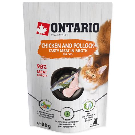 Ontario Karma Dla Kota Saszetki Z Kurczakiem I Dorszem W Rosole Sklep