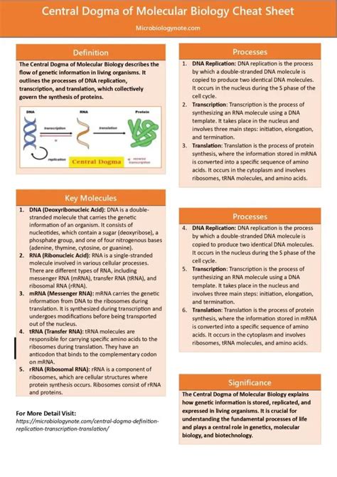 Central Dogma Theory Of Molecular Biology And Genetic Code Biology