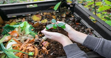 Woman Shares Composting Trick The Simple And Effective Solution