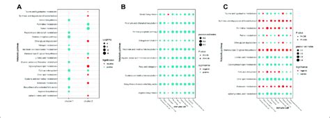 Roles Of Metabolic Pathways In Two Immune Subtypes A Prognosis Of