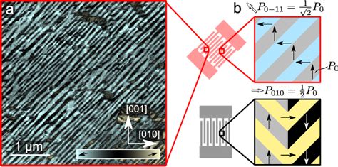 A In Plane Domain Pattern Of The Poled 100 Bto Film Between The