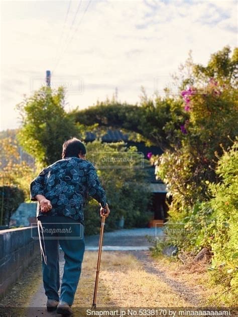 杖をついて歩くばあちゃんの後ろ姿の写真・画像素材 5338170 Snapmart（スナップマート）