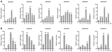 Ijms Free Full Text Genome Wide Identification And Expression