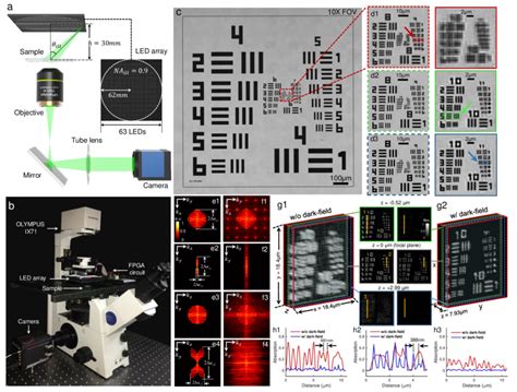 Optical Setup Of Fpdt Platform And Its Characterization A Schematic Download Scientific