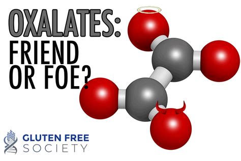 Oxalates On A Gluten Free Diet Friend Or Foe Gluten Free Society