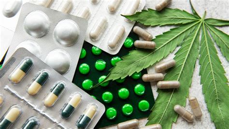 Cannabis Medicinal Cómo Se Administrará Y Para Qué Enfermedades