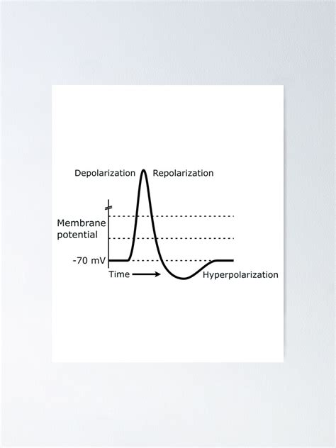 Action Potential Brain Psychology Neuroscience Mind Mental