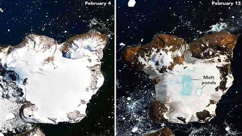 Una Ola De Calor En La Antártida Derritió El 20 De La Nieve En Nuevo