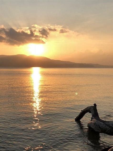 Wild Grass Resort Port Blair Andaman And Nicobar Islands Hotel