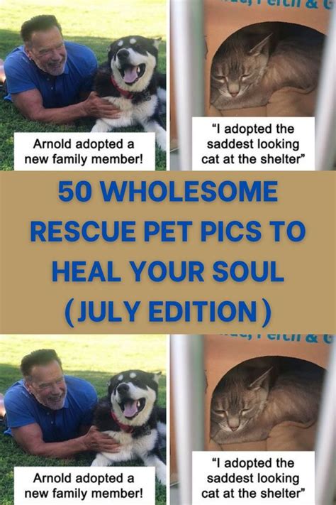 45 Wholesome Rescue Pet Pics To Heal Your Soul October Edition Artofit