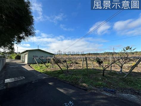 阿伯累了兒子想買房丨東勢平坦開心農場 台中市東勢區詒福段房屋 Yc0260842 永慶不動產