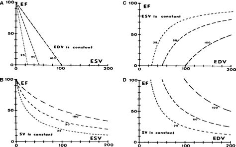 Theoretical Relationships Between Ejection Fraction Ef And