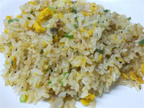 マルハニチロ「wildish ねぎ塩豚カルビ炒飯」を食べた感想 塩ベースの味の冷凍炒飯は珍しいかも 安物買いの銭失い