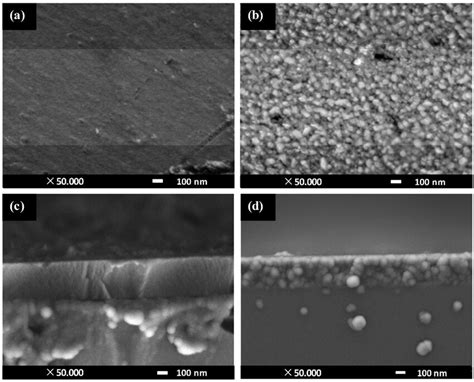 Sem Observations Of Top Surface A B And Brittle Fracture Cross Download Scientific Diagram