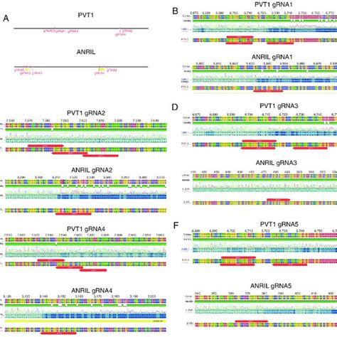Results Of Verifynow Ⓡ P2y12 Assay Download Table