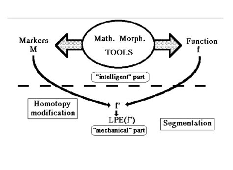 Principle Of The Watershed Segmentation Download Scientific Diagram