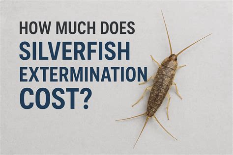 Silverfish Extermination Cost In St Paul Mn Pricing And Treatment