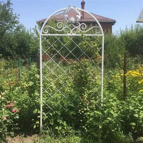 Как сделать опору для плетистой розы своими руками: кованную, перголу ...