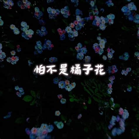 Amazon Musicでk Lk花花花の怕不是橘子花を再生する