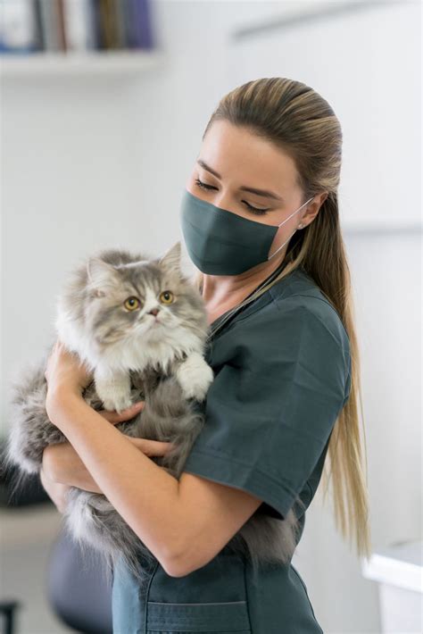 When To Call An Emergency Vet At St Paul Pet Hospital